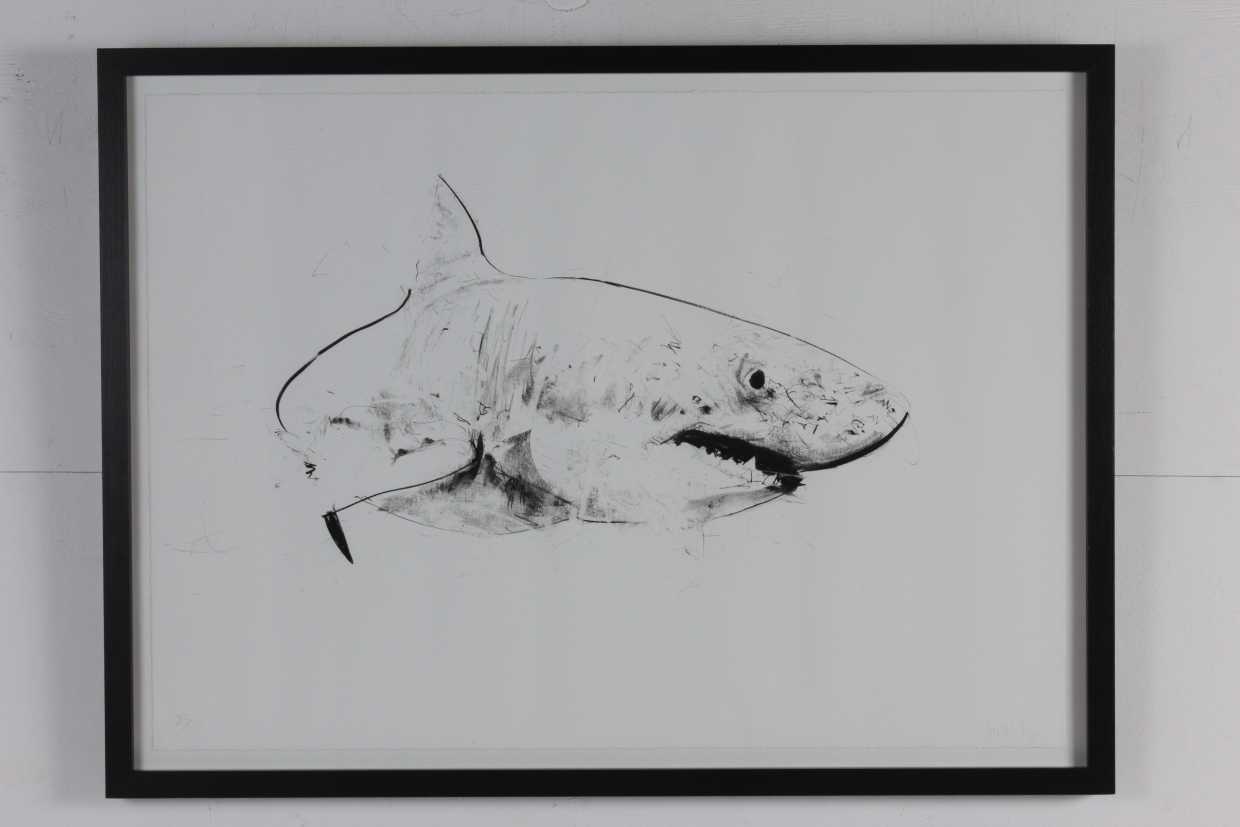 Dave White: "Untitled" | AirAuctioneer