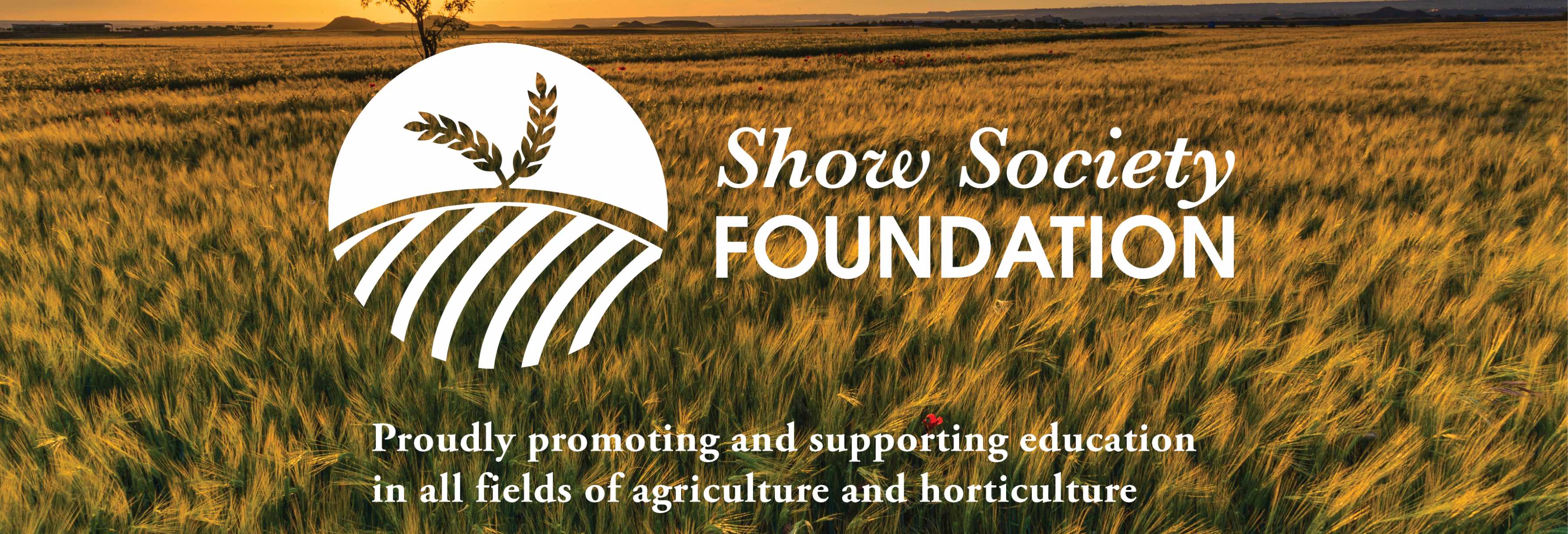 Show Society Foundation Auction | AirAuctioneer