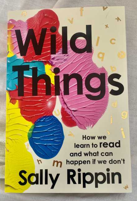 Sally Rippin Wild Things : A Book for Parents of Children with Reading ...