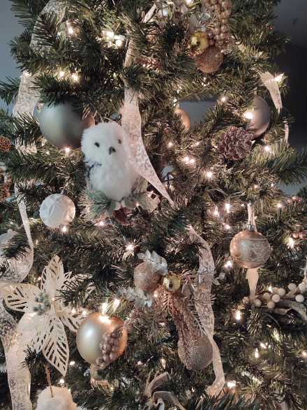 7 Ft. Tree - "Winter Hope" - Sponsored by Breck & Sheri Loos and ...