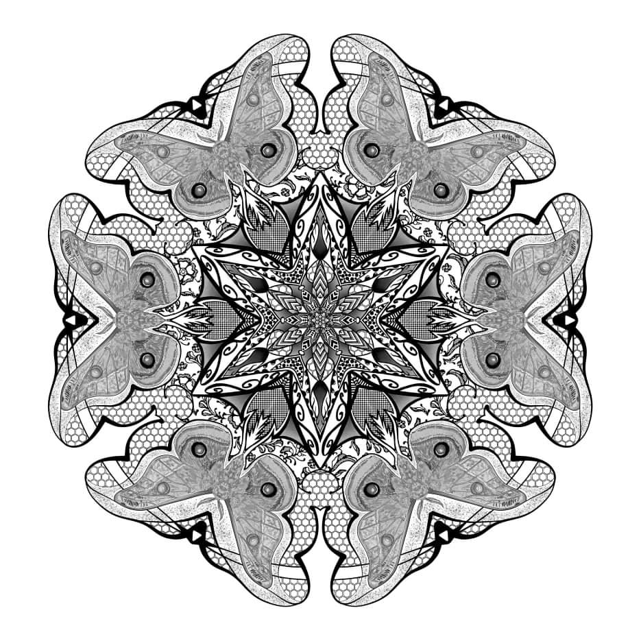 Loren Bullock - Opodiphthera Eucalpyti | AirAuctioneer