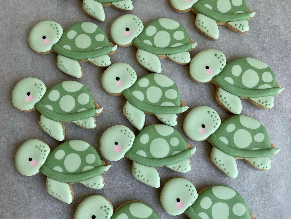 Sea Turtle Cookies (18) donated by Alison Frey | AirAuctioneer