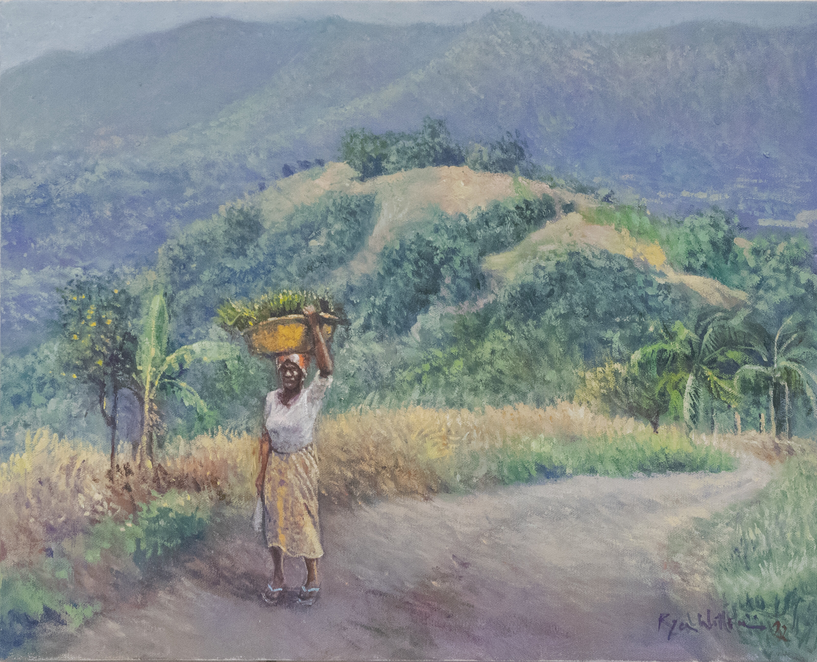 Paramin Hills by Ryan Williams | AirAuctioneer