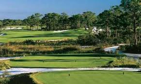 Golf at Old Collier Golf Club with Hoddy Hanna | AirAuctioneer
