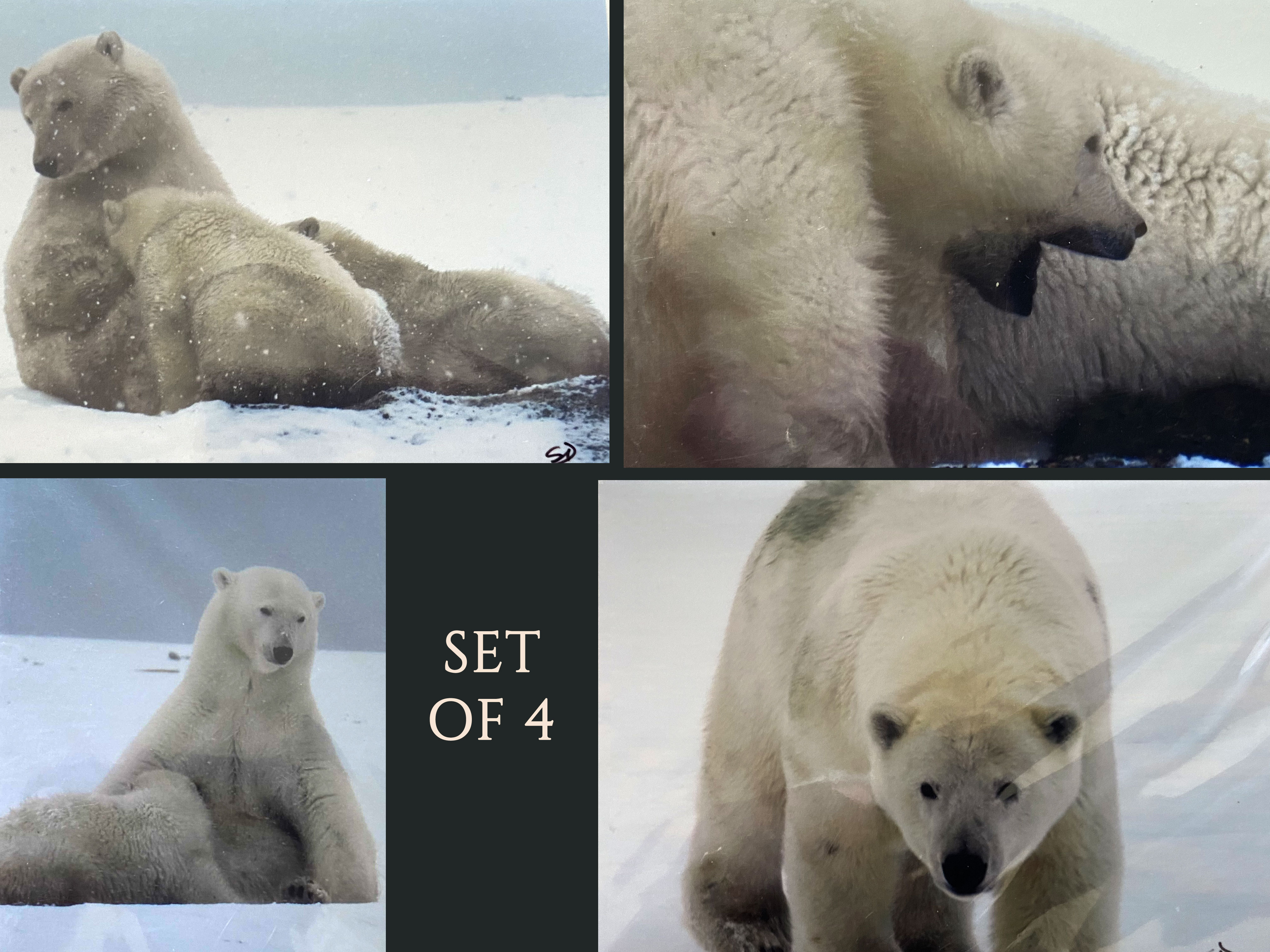 Photo Cards (Pack of 4) by SunDown Studio - #4 | AirAuctioneer