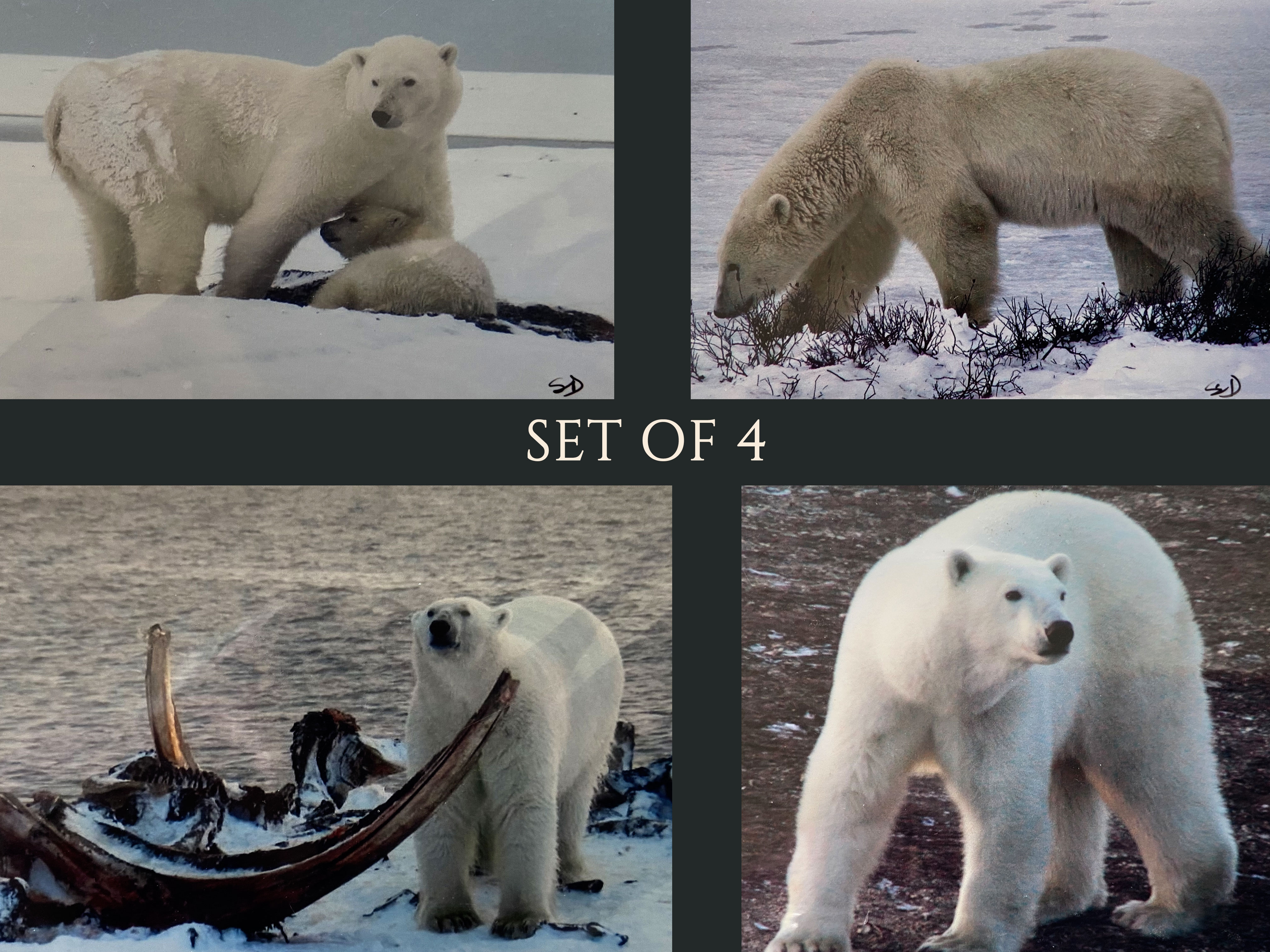 Photo Cards (Pack of 4) by SunDown Studio #7 | AirAuctioneer