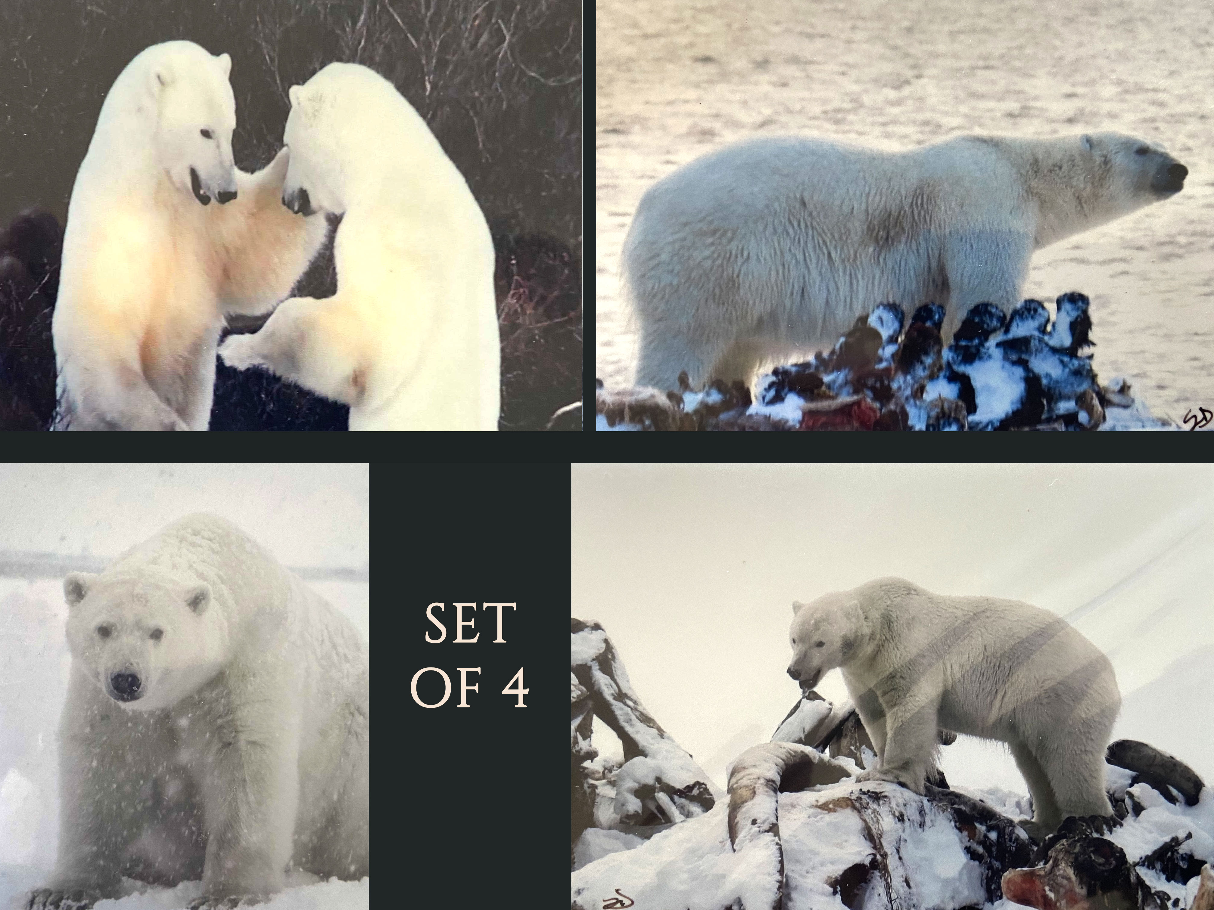 Photo Cards (Pack of 4) by SunDown Studio #8 | AirAuctioneer