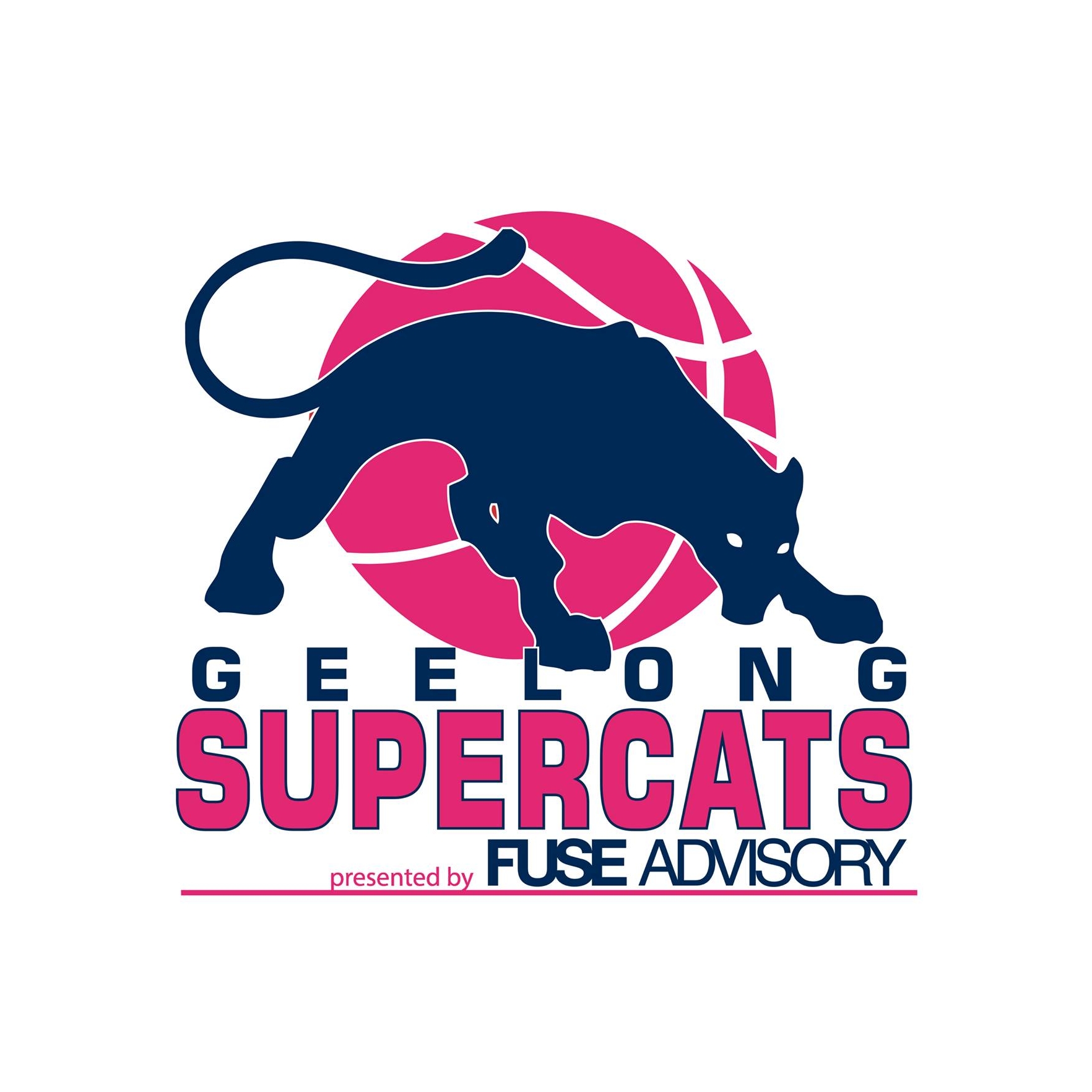 Geelong Supercats Courtside Box | AirAuctioneer