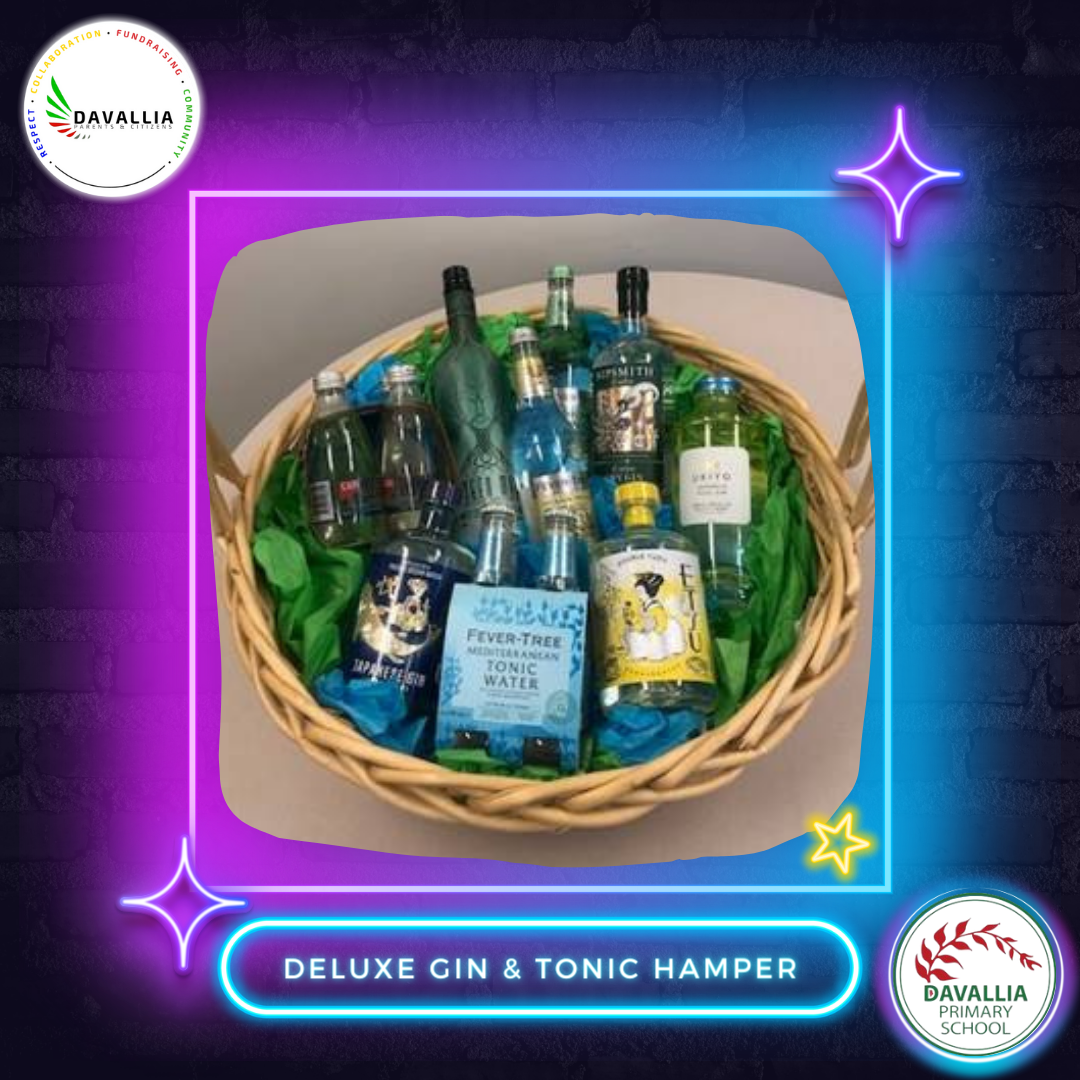 Deluxe Gin & Tonic Gift Hamper | AirAuctioneer