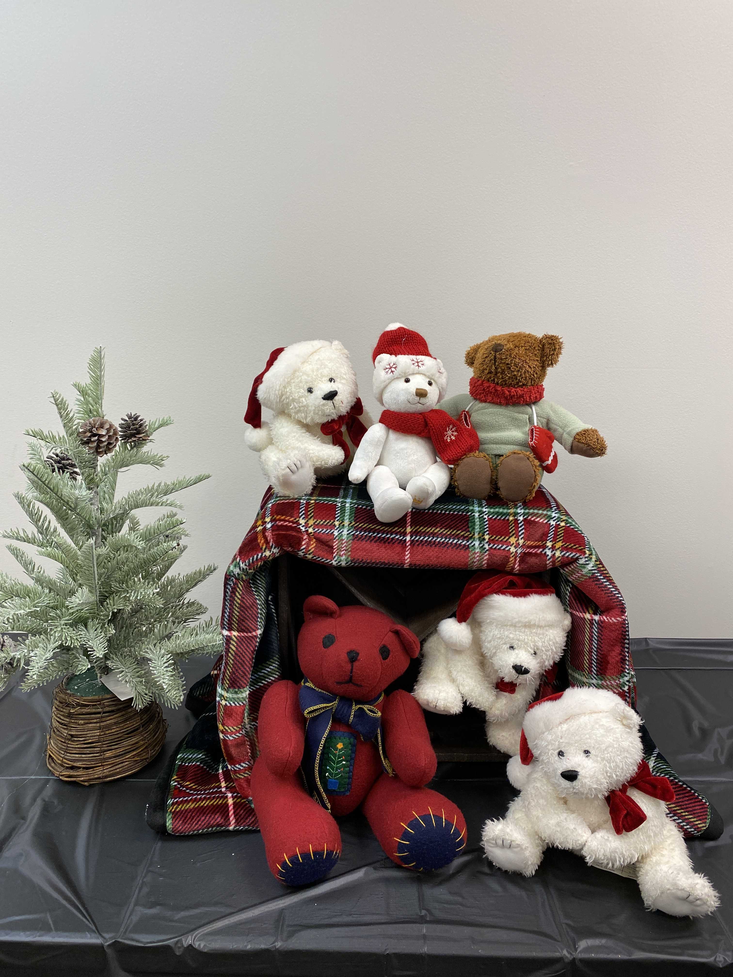 "Beary" Fun by Friends of the Foundation | AirAuctioneer