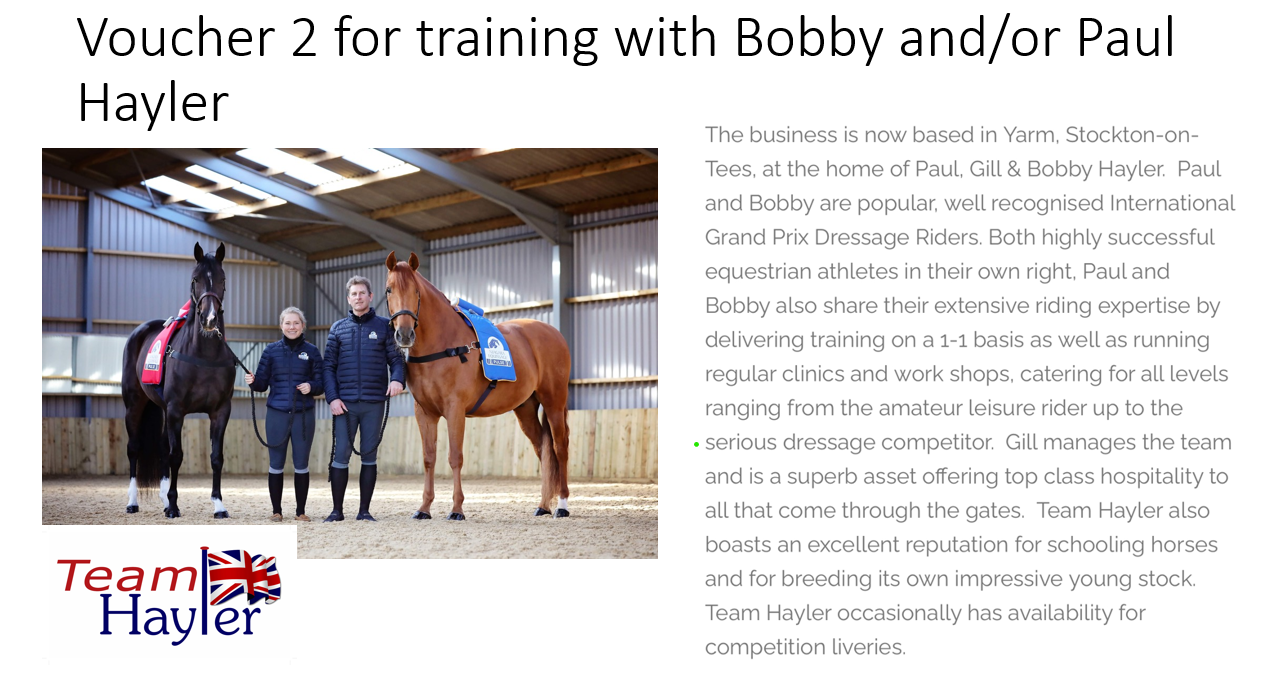 Voucher 2 for training with Bobby and/or Paul Hayler | AirAuctioneer
