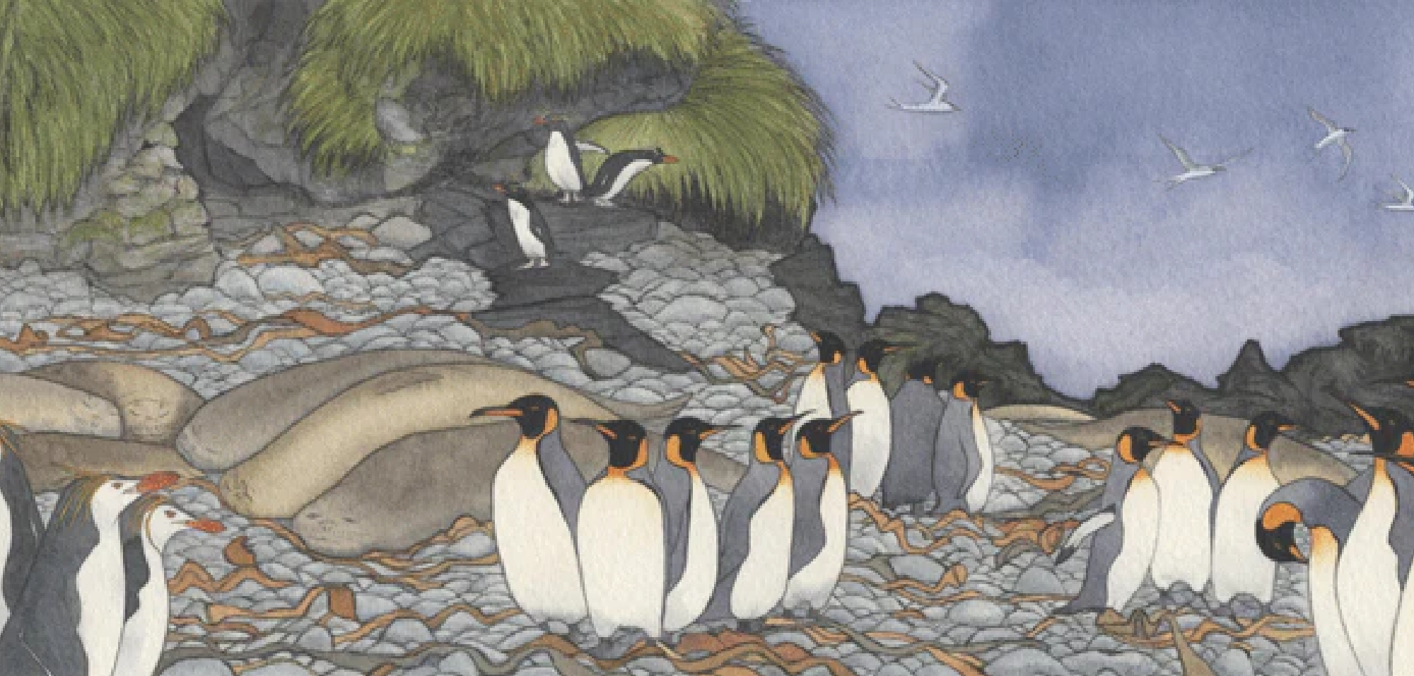 Alison Lester: One Small Island | AirAuctioneer