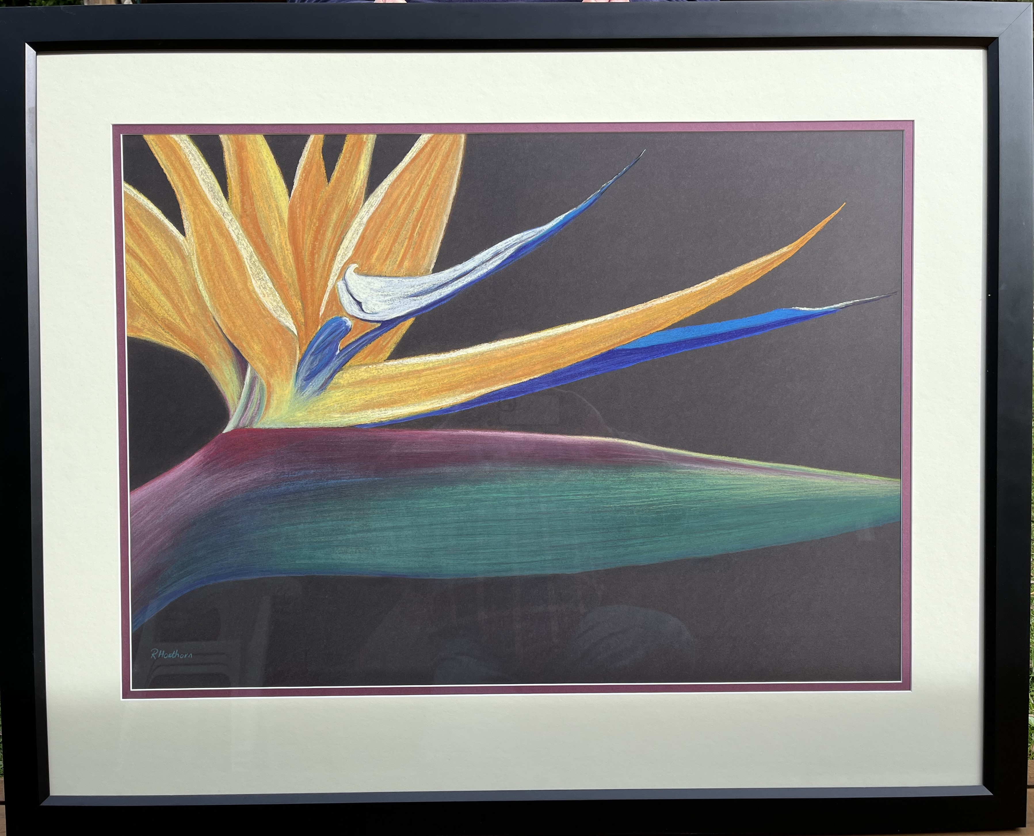 Bird of Paradise - Ros Heathorn | AirAuctioneer