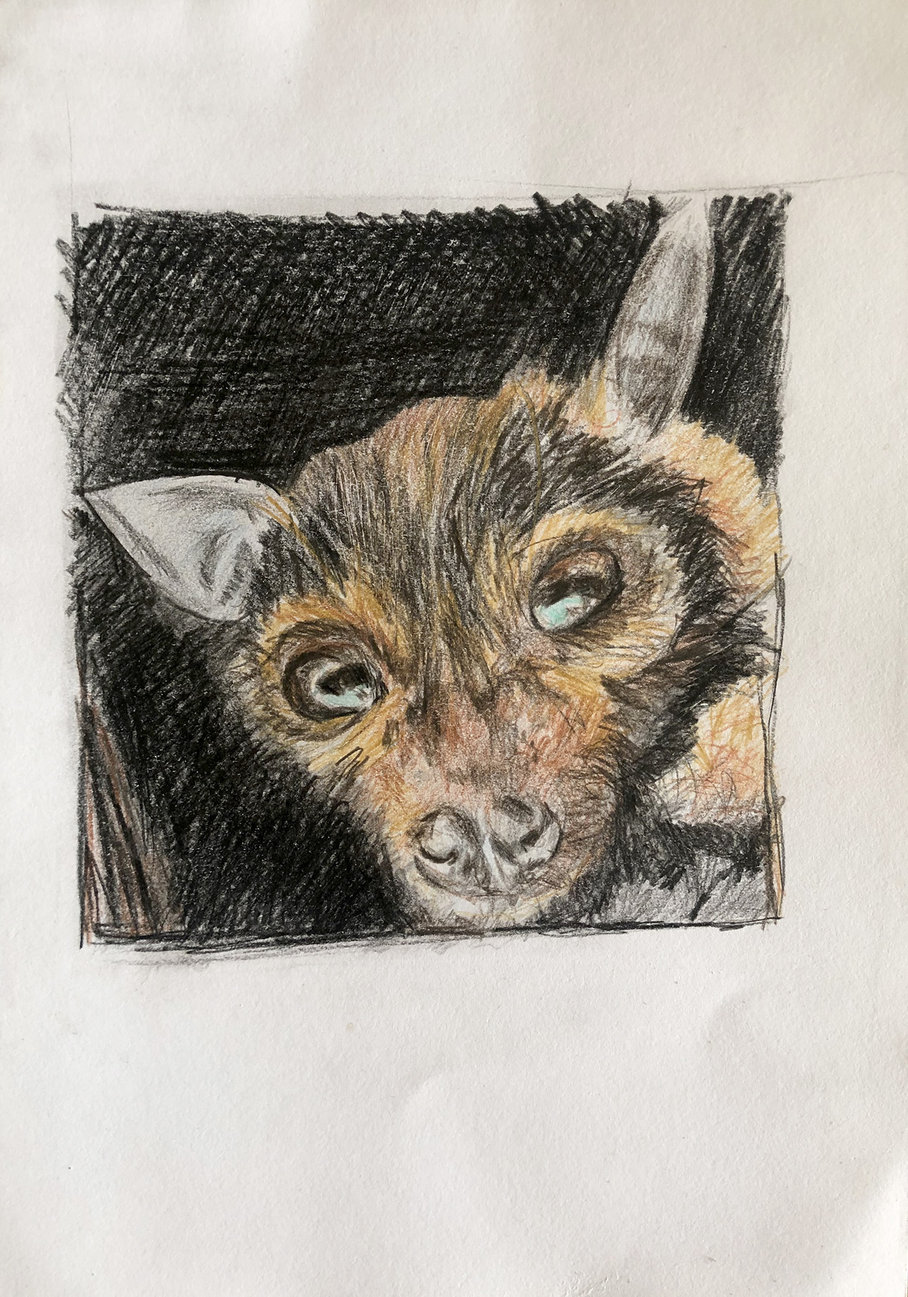 Imogen Jubb, Flying Fox II, 2021 | AirAuctioneer