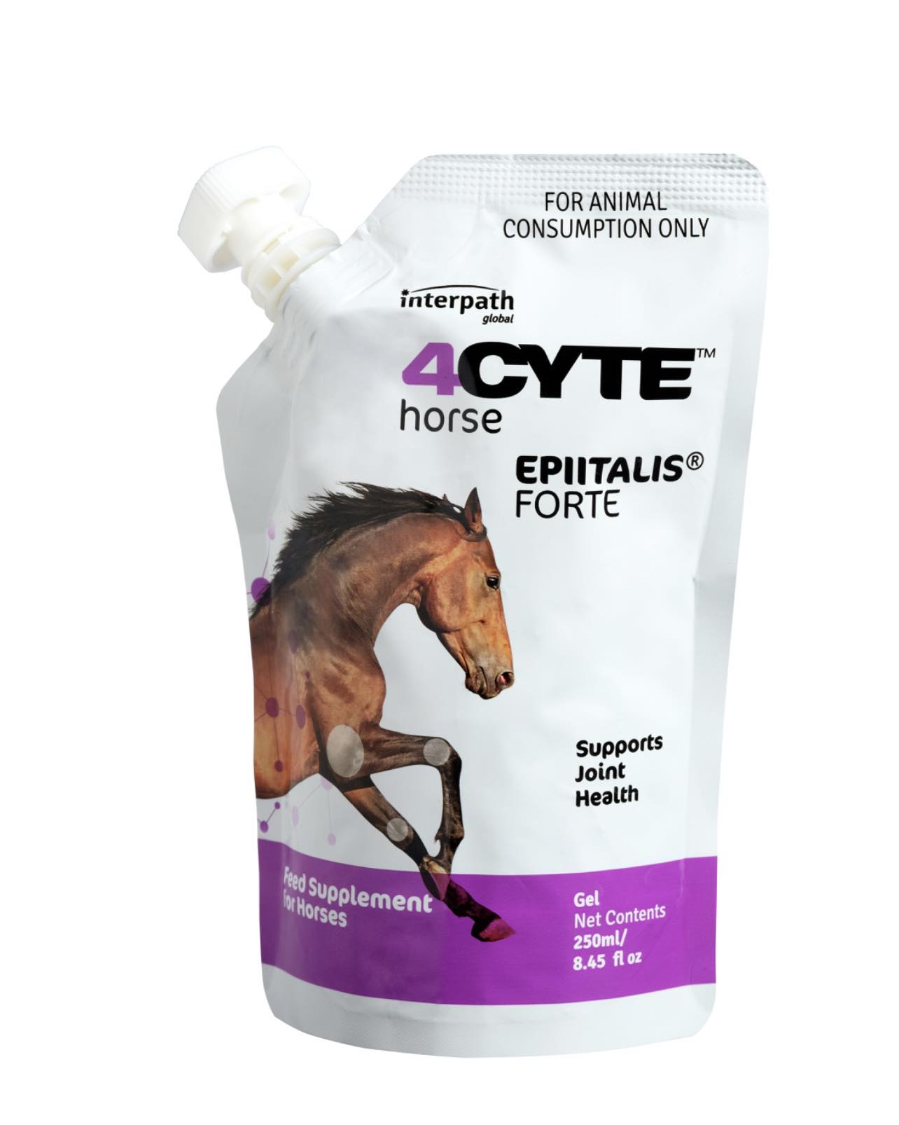 Equine 4Cyte Pack | AirAuctioneer
