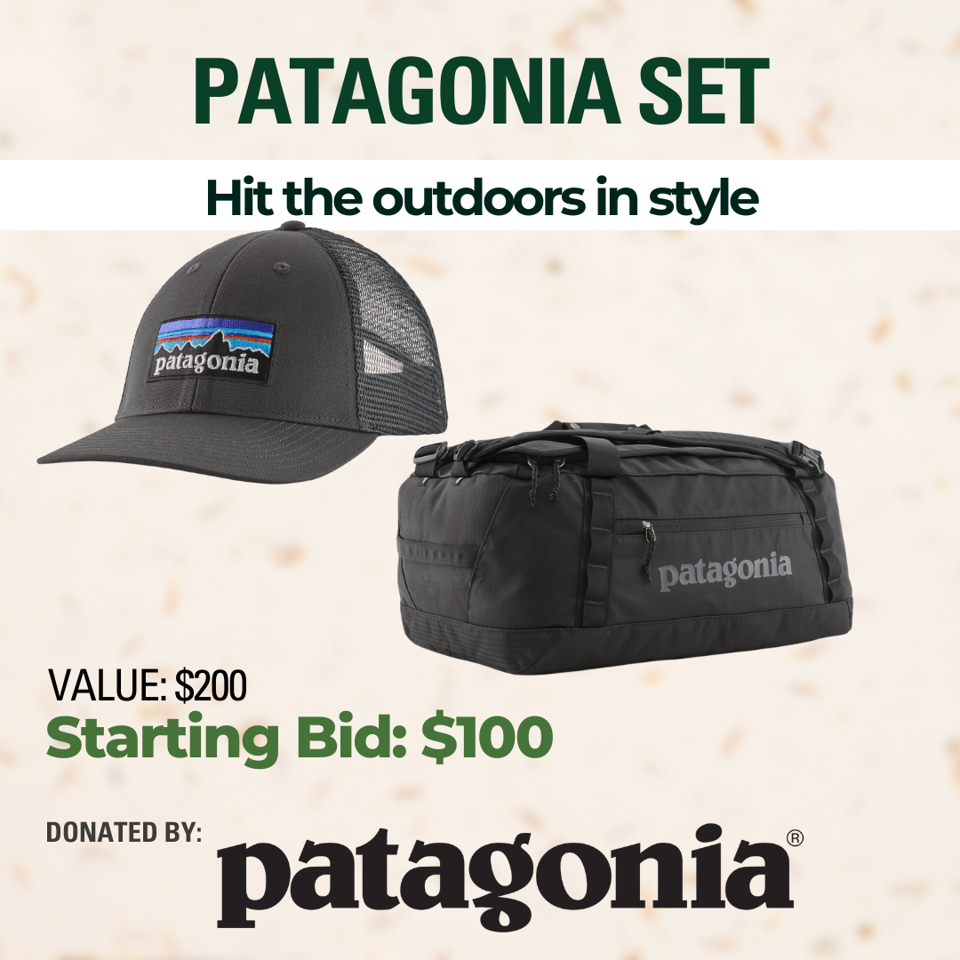 Patagonia Set | AirAuctioneer