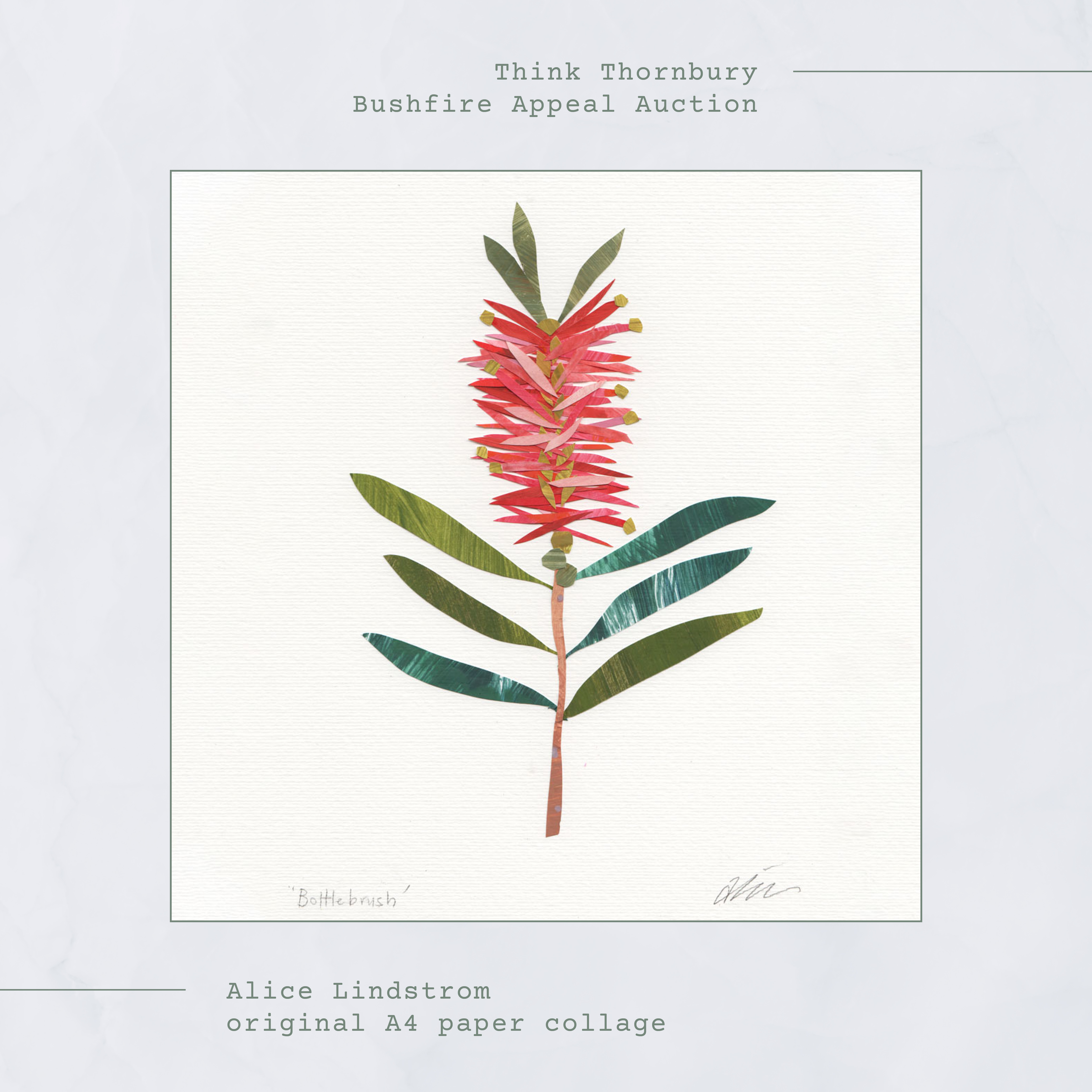 Alice Lindstrom - Original A4 Paper Collage of a Native Bottlebrush ...